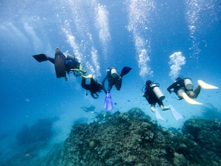 CURSO DE BUCEO - Buconos Diving