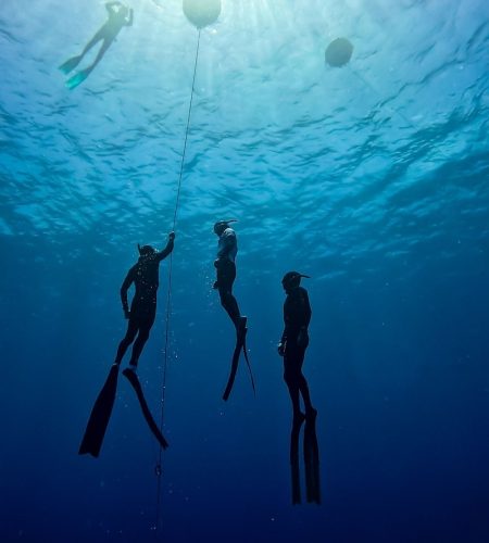 CURSO DE APNEA - Buconos Diving